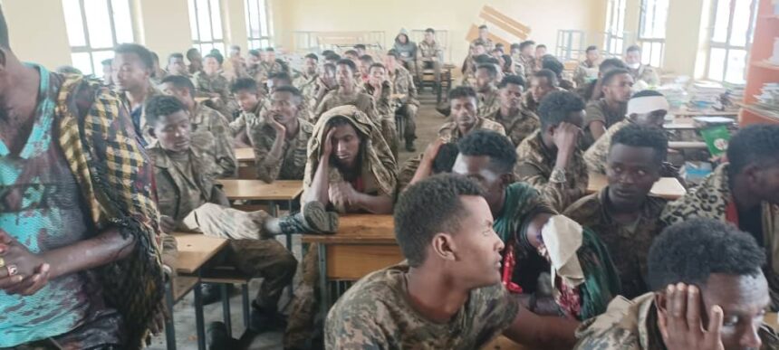 Amhara Fano National Force Claims Major Victories in Wollo: 471 ENDF ...