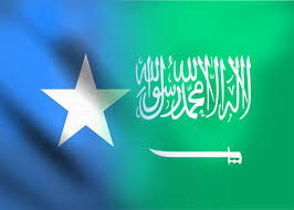 Saudi Arabia’s Strategic Responsibility in Safeguarding Somalia’s Unity ...